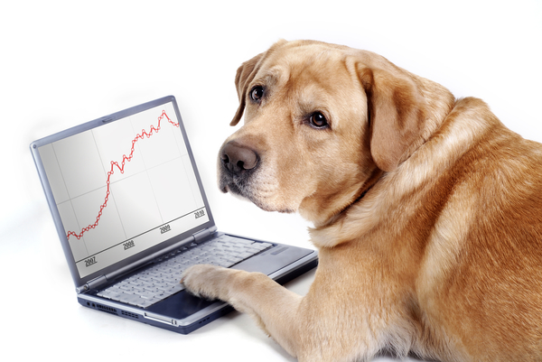 ETF of the Week: ALPS Sector Dividend Dogs ETF (SDOG)