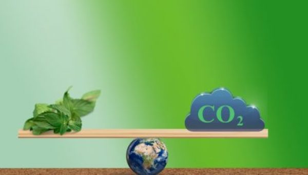 The Push for Net-Zero Represents Big Tailwind for NBCT