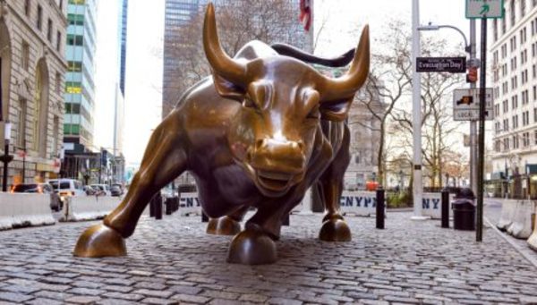 How Is a New Bull Born?