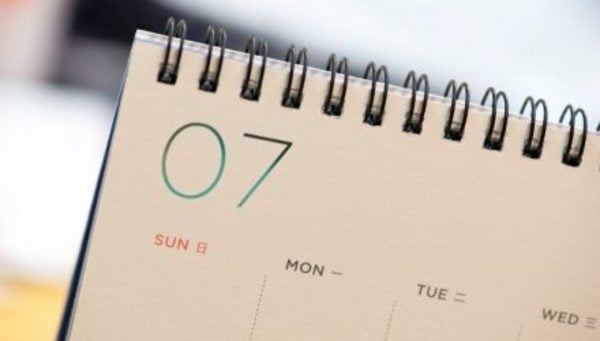 Mid-Year Performance Review of DBMF