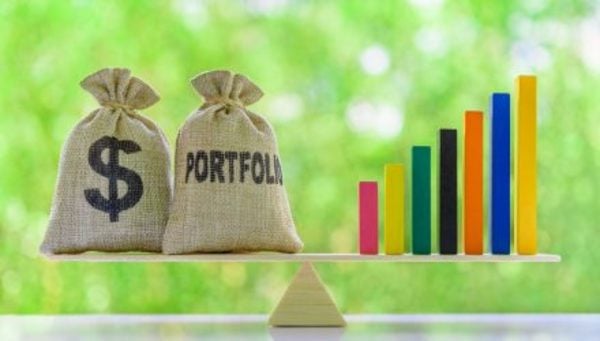 Curate Balanced Portfolios With CANQ