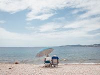 CNAV ETF Guide | Stock Quote, Holdings, Fact Sheet and More